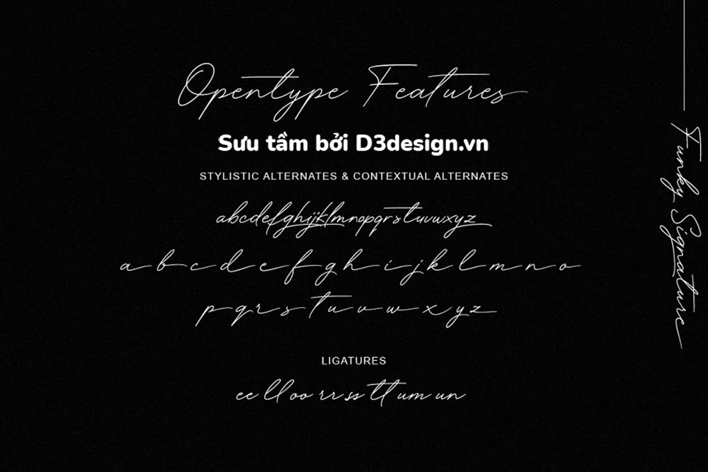 D3Design - Font Việt Hóa - Signature Chữ Viết Tay Nét Đẹp Tự Nhiên Và ...
