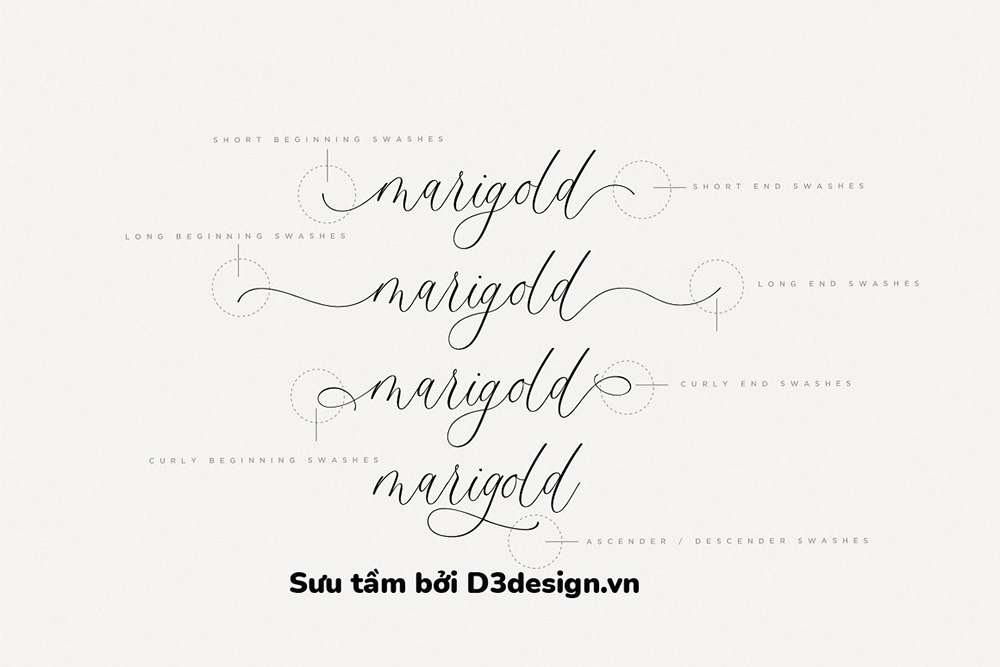 D3Design - Font Việt Hóa - Montery Script Chữ Viết Tay Mỏng Và Nhẹ Nhàng